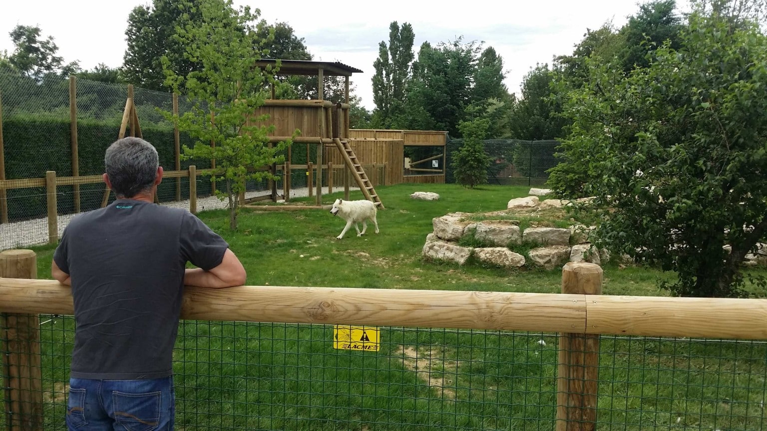 Le parc - Le Domaine des Fauves